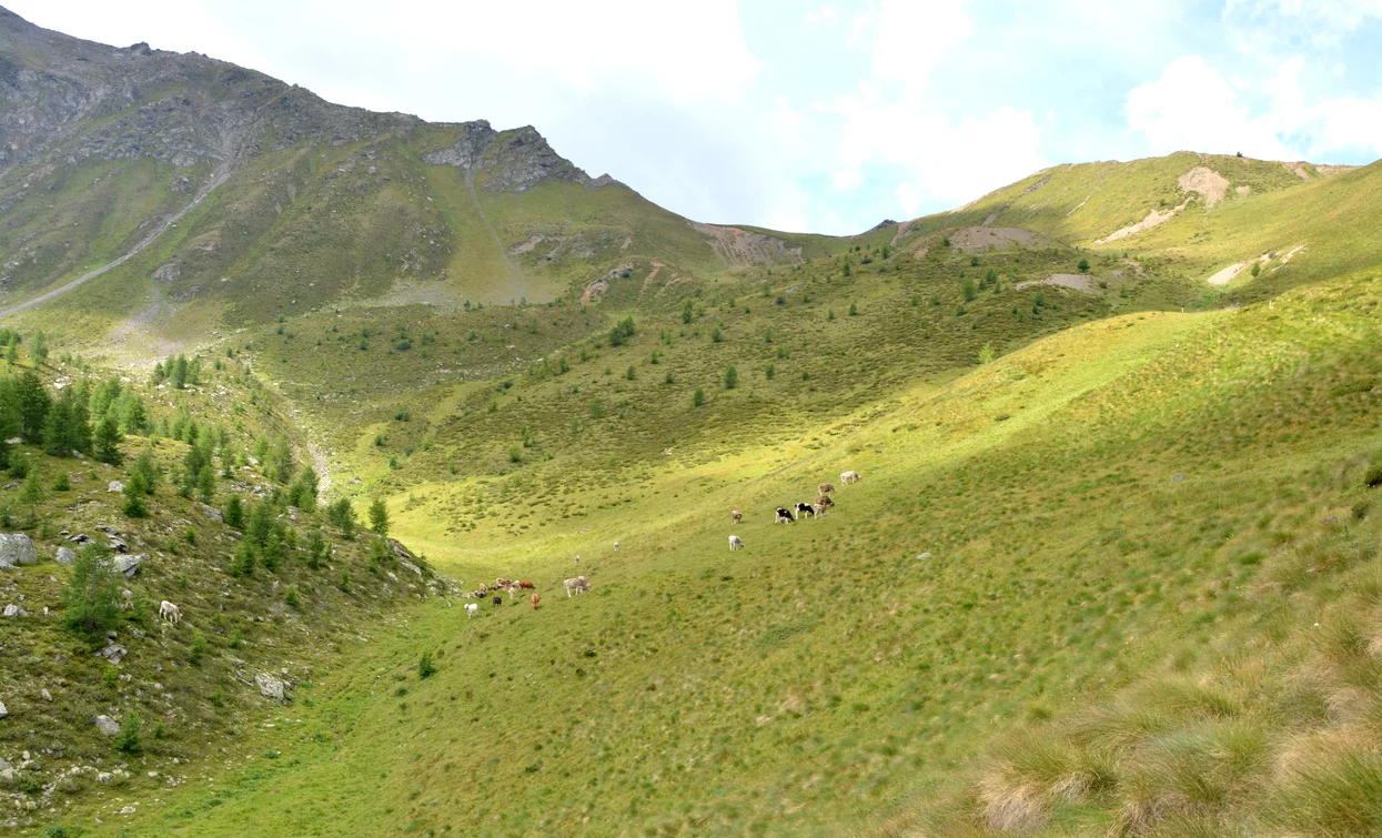 Val Pudria e Val Comiciolo